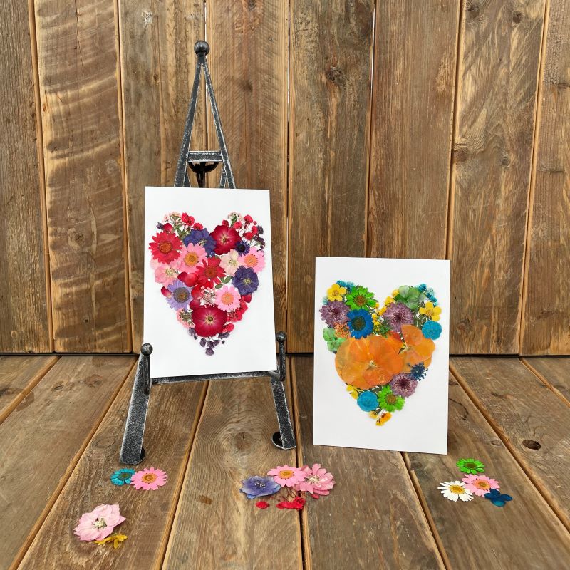 Community Crafting - Pressed Flower Cards with Ted Lare | Des Moines Public Library